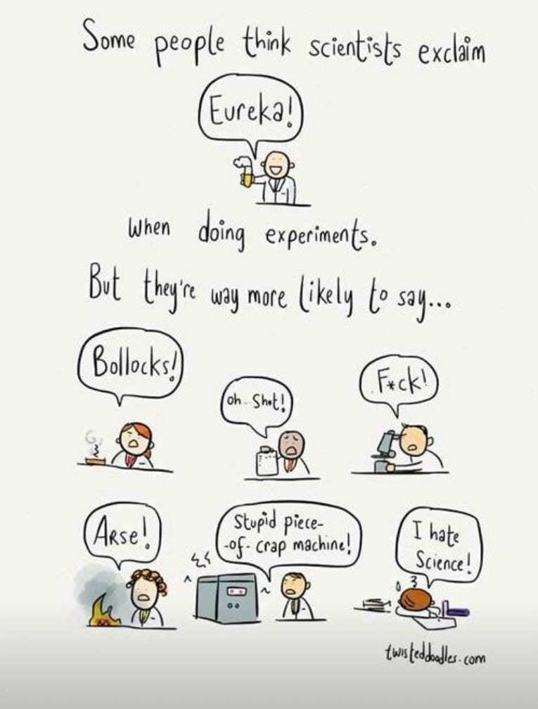 Are Eureka Moments Real in Ph.D.? | by S-O | AcademicNarratives | Medium