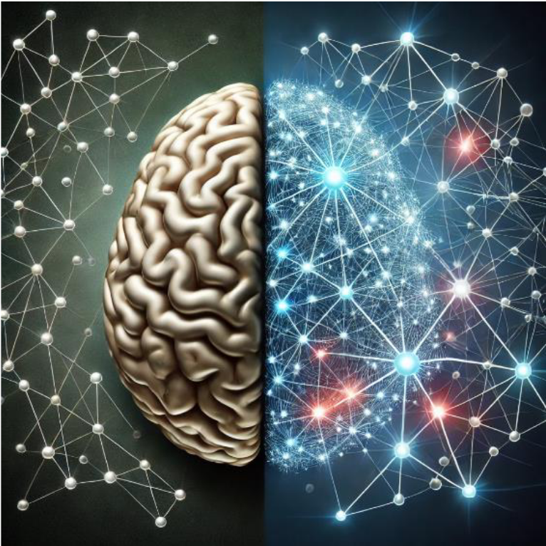 The Convergence of Minds: Bridging the Gap Between Biological and Artificial Neural Networks ...
