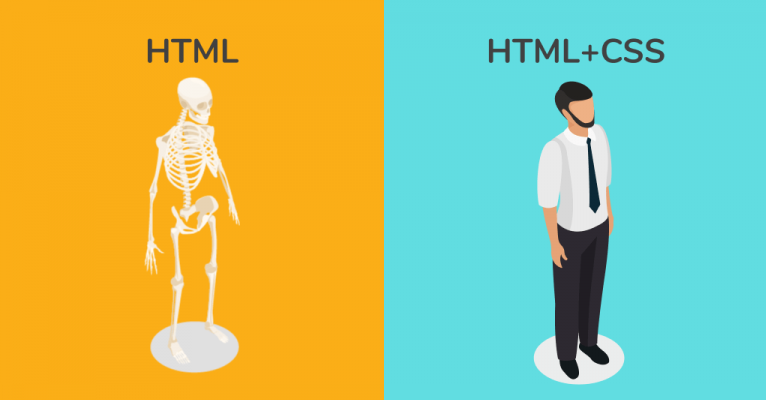 Difference Between HTML and CSS. Have you ever wondered after seeing ...