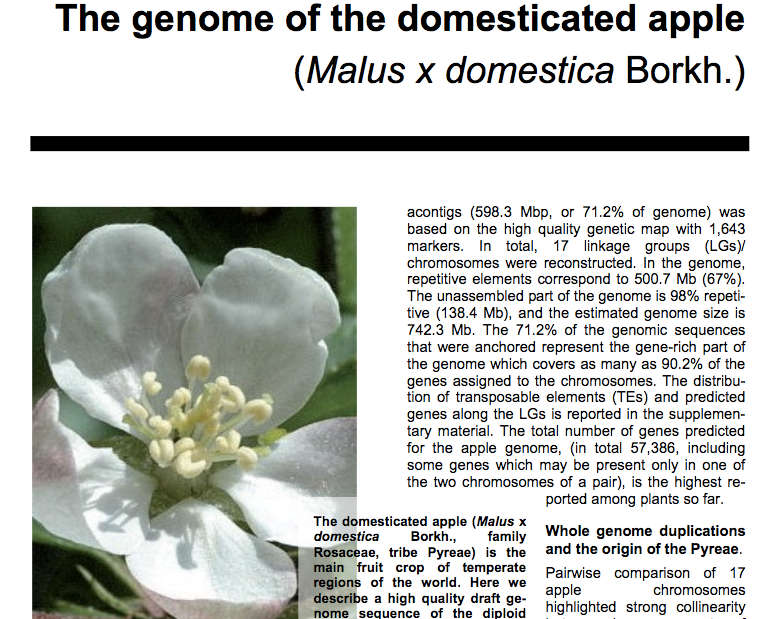 13. Some serious science: full apple genome and related links | by ...