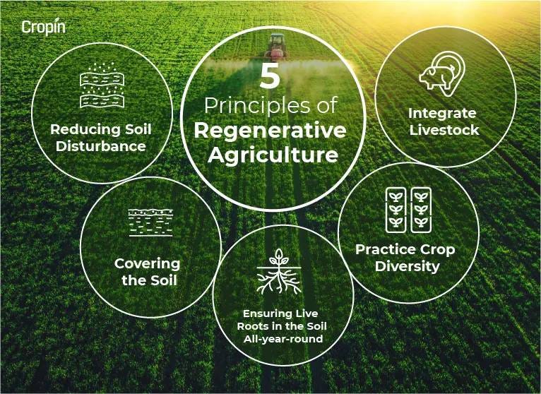 Regenerative Agriculture: a holistic approach to farming | by Neetu ...
