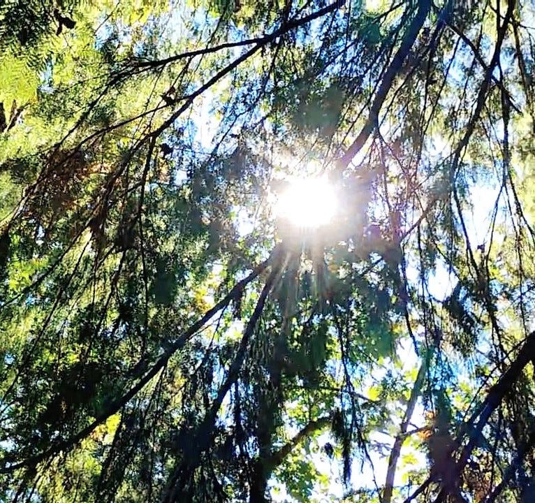 Why Pray When the World Is Falling Apart? | by Eternal Souls Matter ...