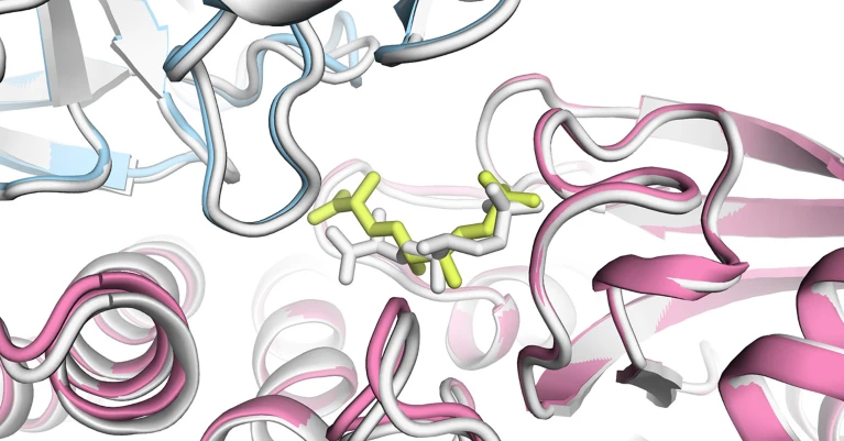 AlphaFold 3 Embraces All Biochemistry | by Mohsen Nabil | Generative AI