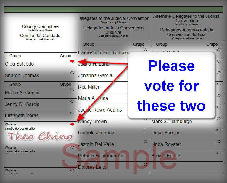 Write-in Campaign on my NYC block. | by Theo Chino | Medium