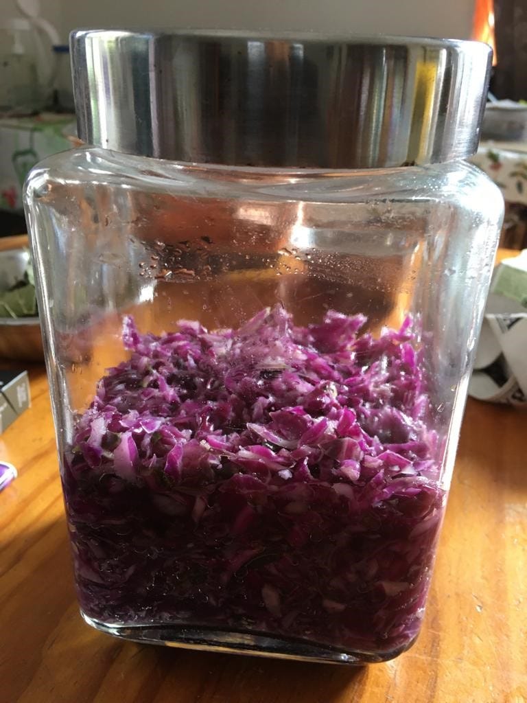 Varun Venaik’s tips for successful food fermentation | by Varun Venaik ...