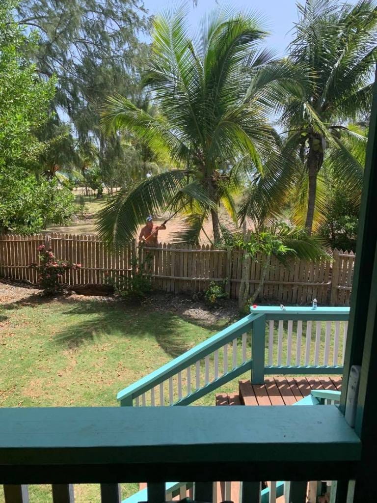 Calabash Bight Living. My Diary: September 12, 2021 | by Cathy Strine ...