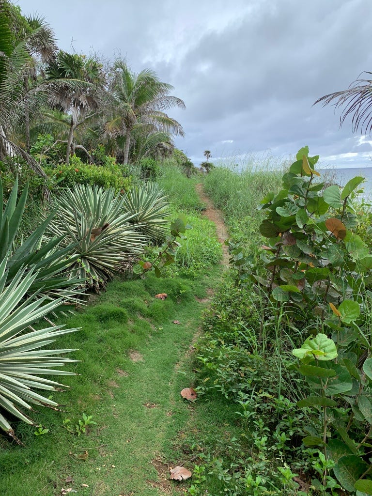 Travel off the Beaten Path by Foot: An Adventure in Calabash Bight ...