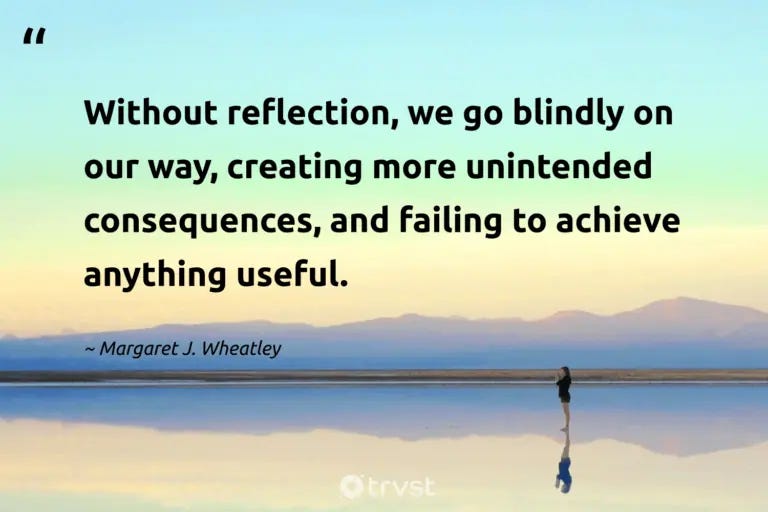 A Positive Reflection. The journey through the Amal fellowship… | by Jaaweerya Yasin | Medium