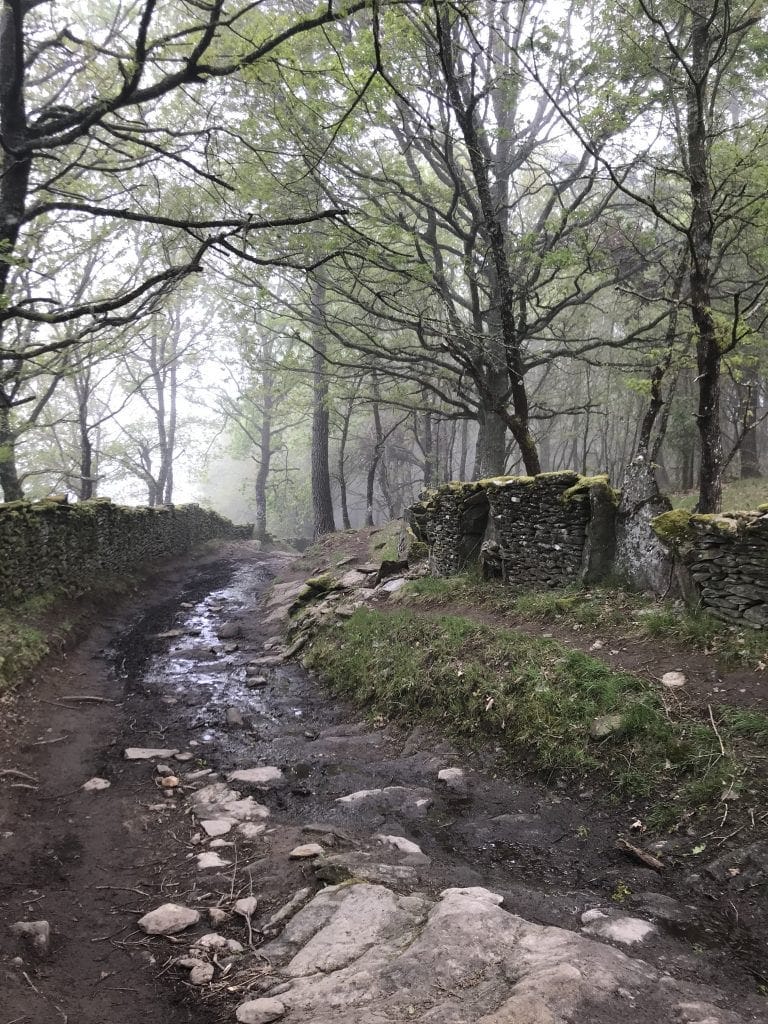 Grief Journey toward Meaning & Purpose: Embracing the Healing Spirit of the Camino de Santiago ...