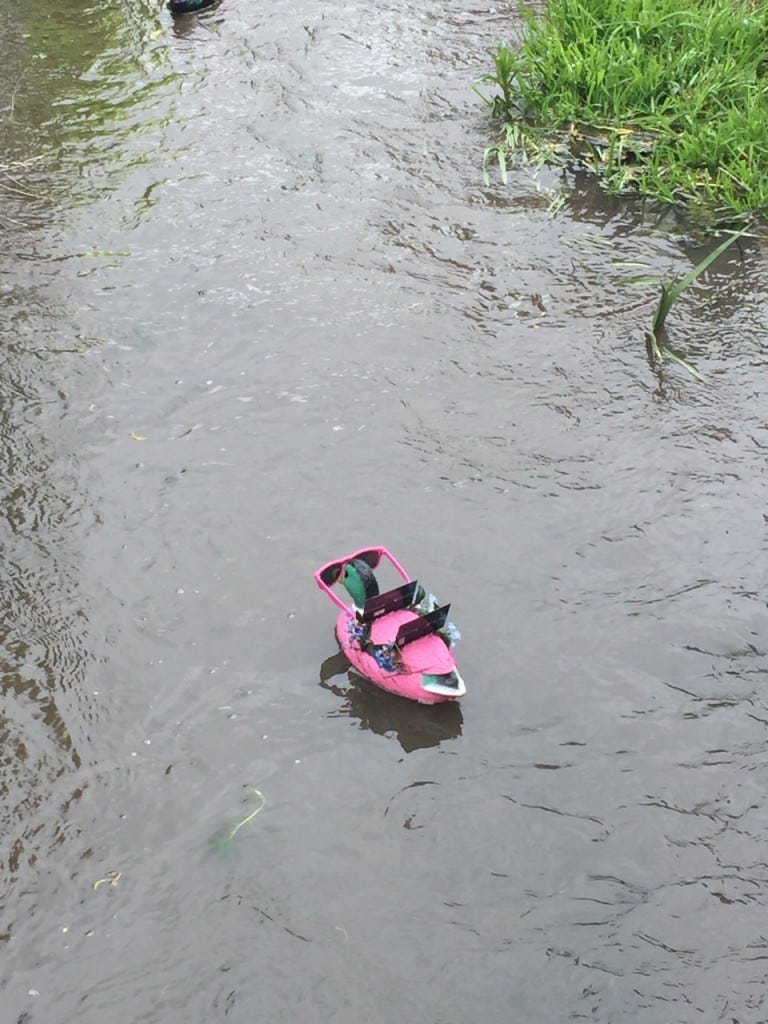 Ducks ahoy! | by Sophy Fearnley-Whittingstall | Abundance Blog