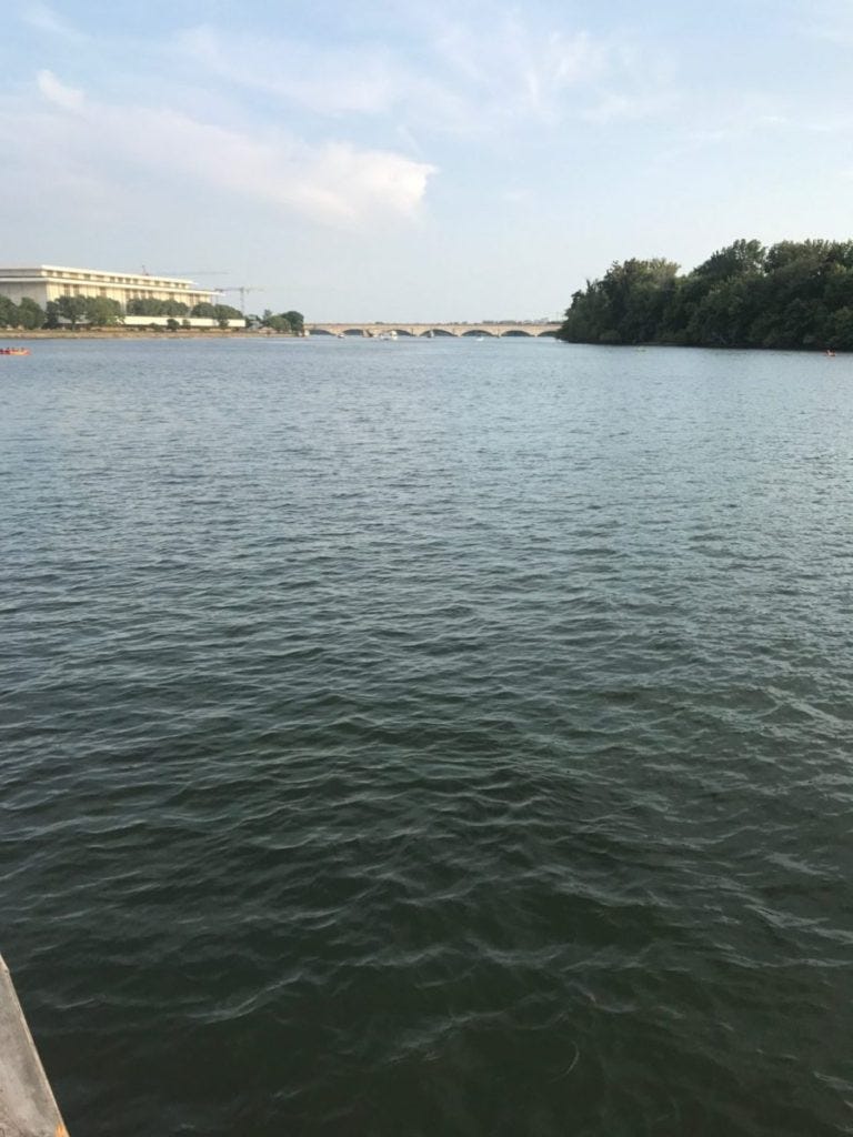 River View. Viewing river underneath horizon With… | by Randy Shingler ...