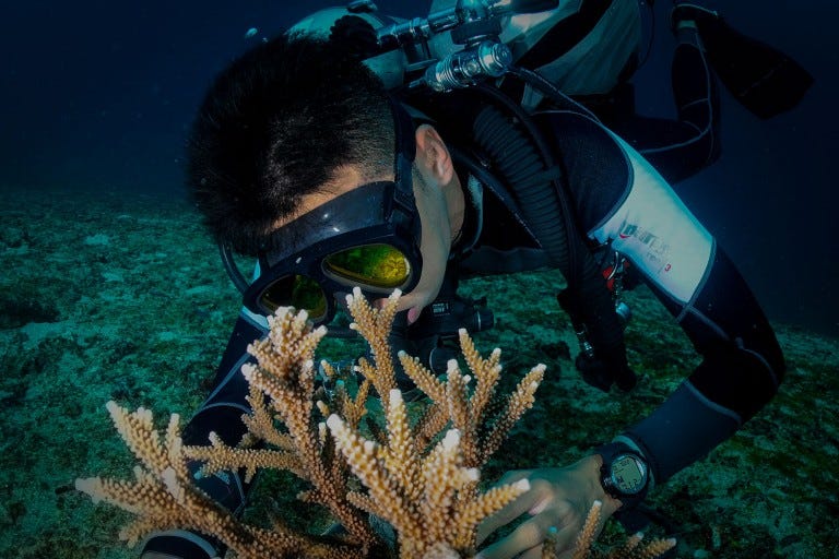 A simple comparison between GUE and other recreational agencies | by ...