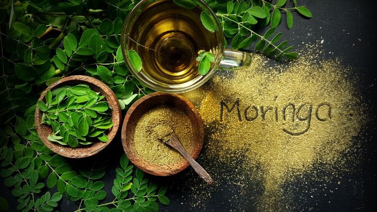 Moringa Actives Weight Loss: Harness Nature’s Power | by Winifred Long ...