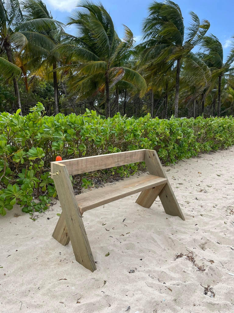 Mike and the Leopold Bench - ILLUMINATION - Medium