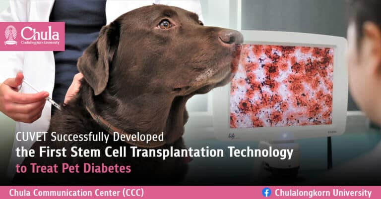 CUVET Successfully Developed the First Stem Cell Transplantation ...