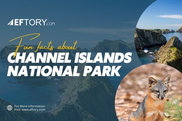 Fun Facts about Channel Islands National Park | by Eftory official ...