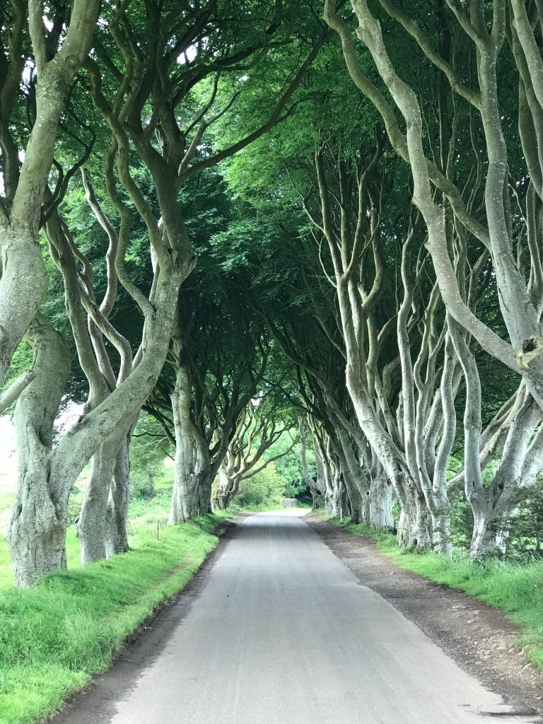 Choose Your Path Wisely. Young or old — every action you take… | by ...