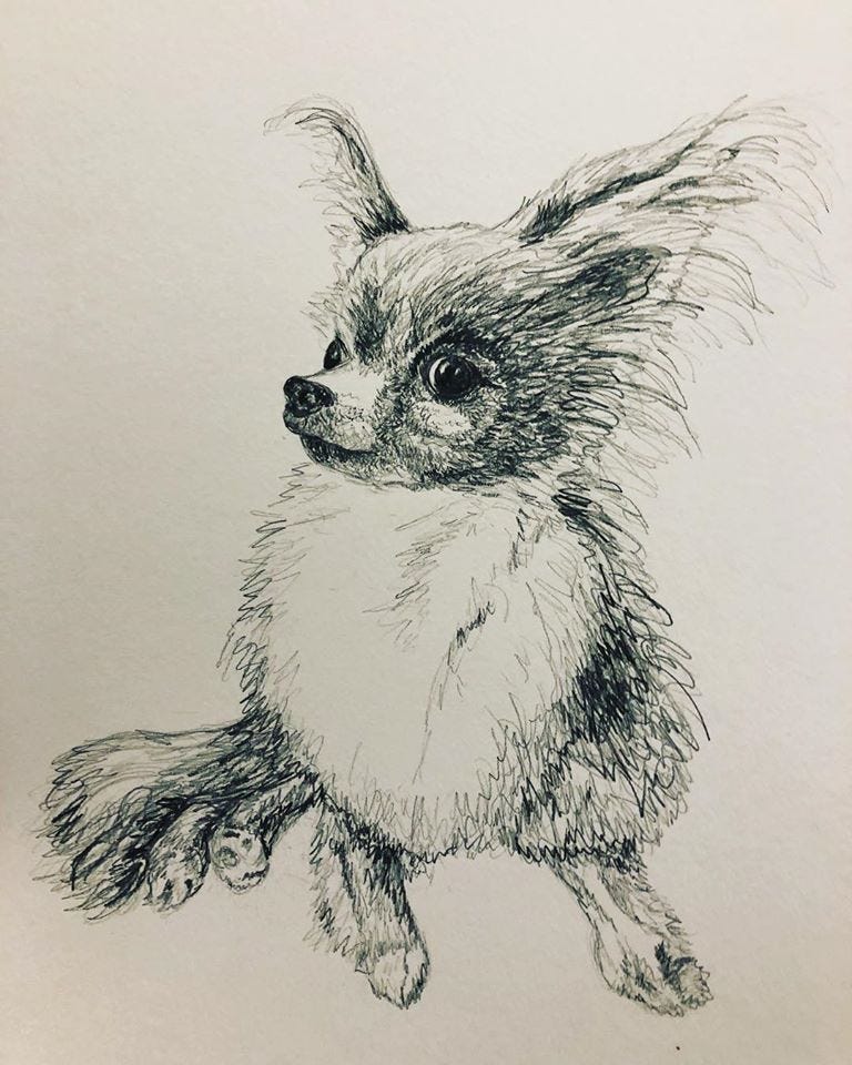 Dead Dog Drawing