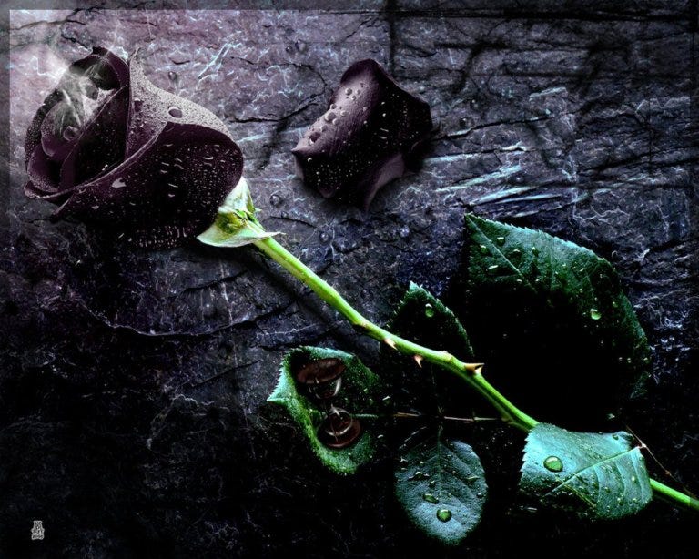 Is it Still Okay…. Is it still okay | by LadyFae | Medium