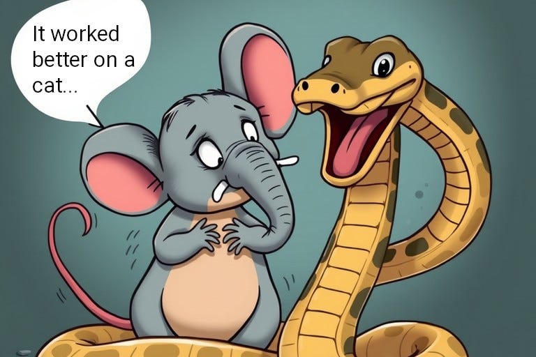No Fooling Python Data Structures With Pydantic And Data Classes By Tinkerd Medium 8672