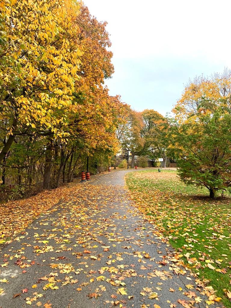 Trees, Brown Tips & Growth. | by Priscilla Alagbe | Nov, 2023 | Medium