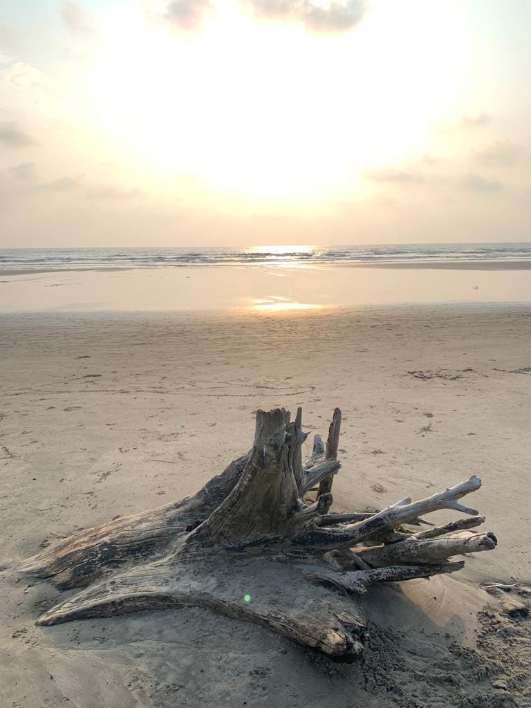 Horizon. A Musing | by Mosam Shah | iPoetry | Medium
