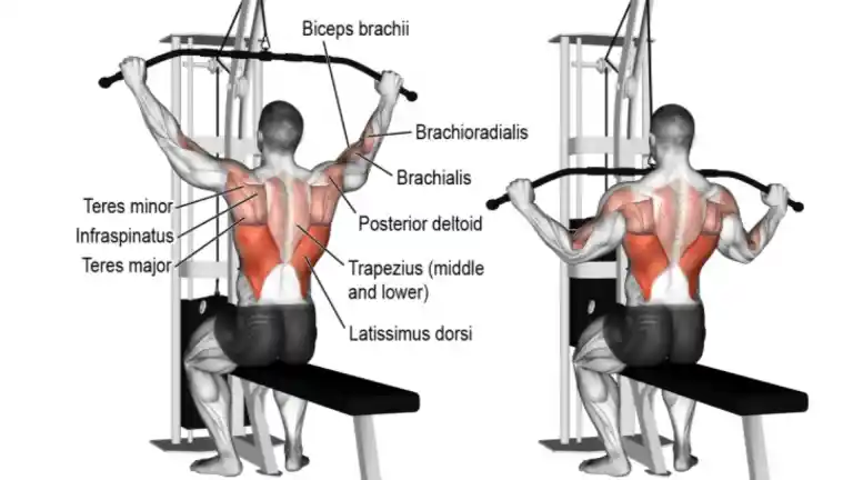7 Best Pull-Up Alternatives for a Stronger Back | by FIT LIFE REGIME ...