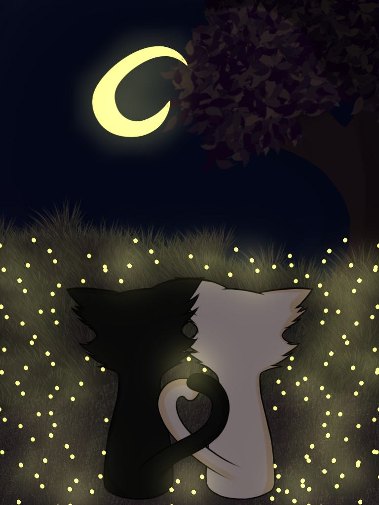 Our first month.. Hi there, love! | by K | Medium