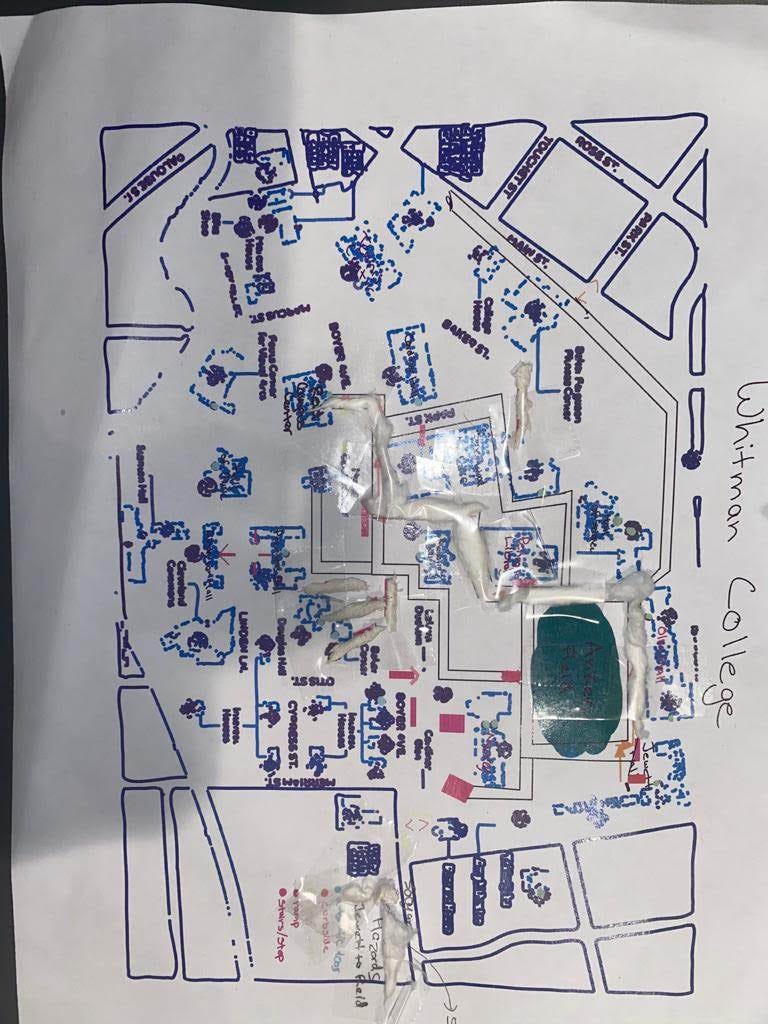 Re-Design Campus Accessibility. By: Ella Johnson and Ruru Rajbhandari ...
