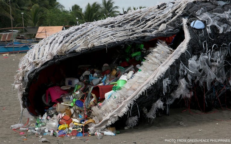 Callousness of human beings. Plastic waste and its impact on ecology ...
