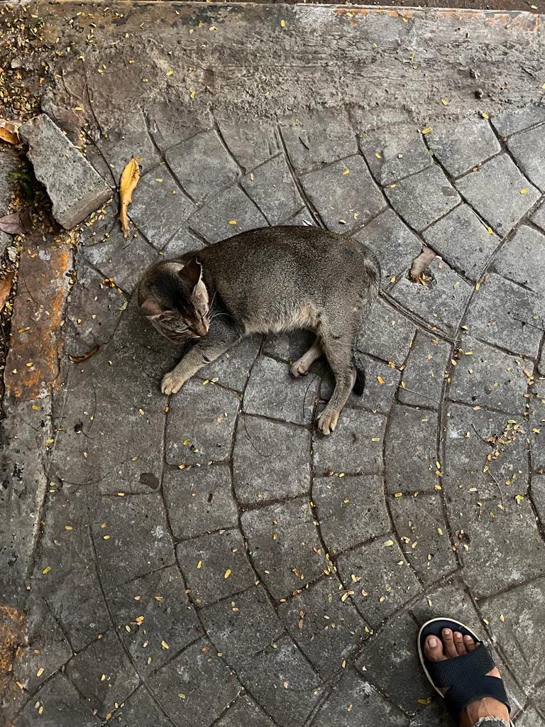 Writing on- Be free or not, Doesn’t Really Matter. | by Megha ...