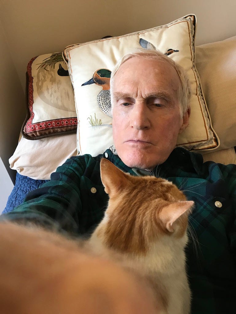Are We Killing Our Pets?. Humans aren’t smelling like they use to | by ...