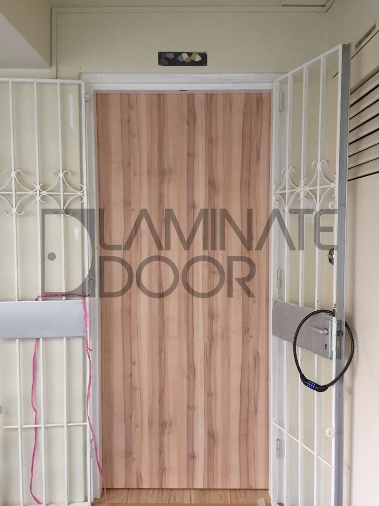 Mild Steel Gate Install For HDB / BTO At Factory Price (Designer ...