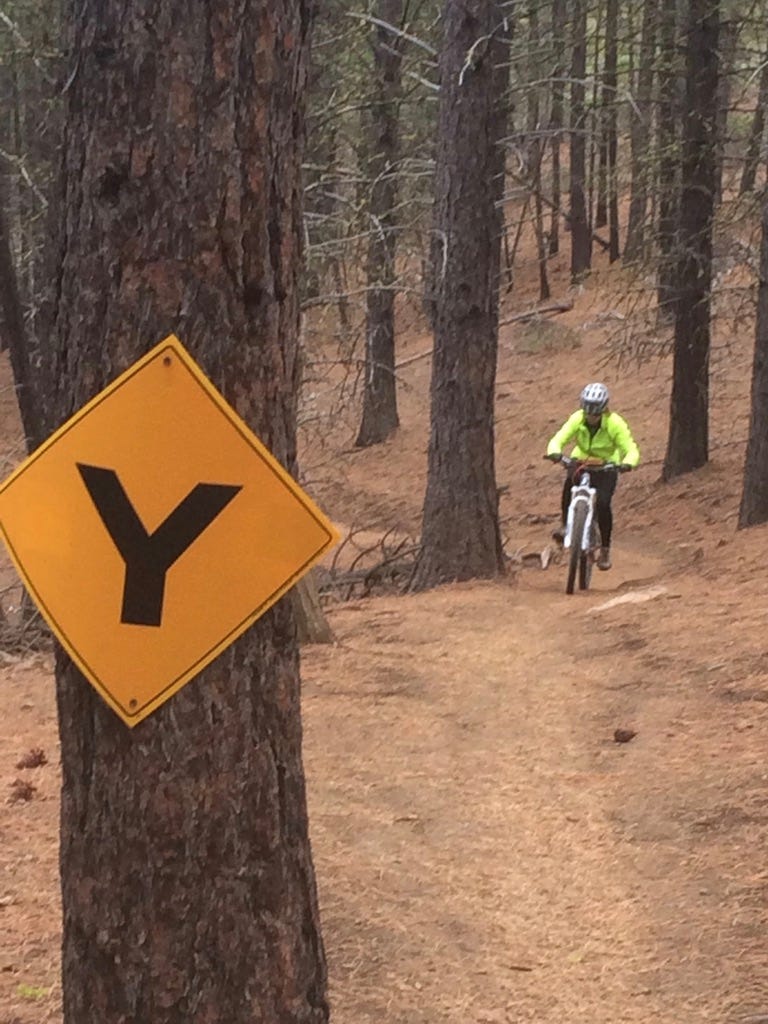 Why I Love a Social Ride. Everyone wins when the pace slows down… | by ...