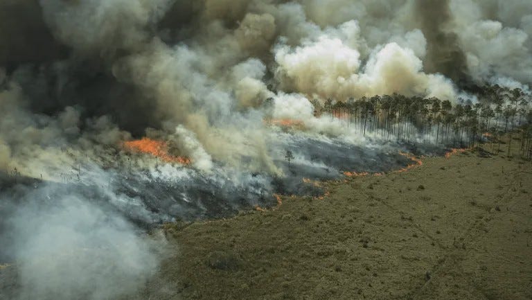 What do the Amazon fires mean?. Countries on fire: the outbreak… | by ...