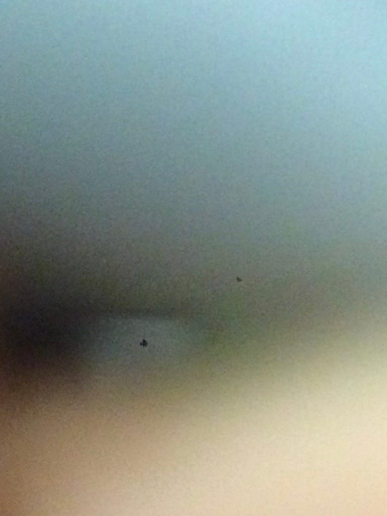 What is thinking? Embracing a mode of being underway | by Rika Preiser ...