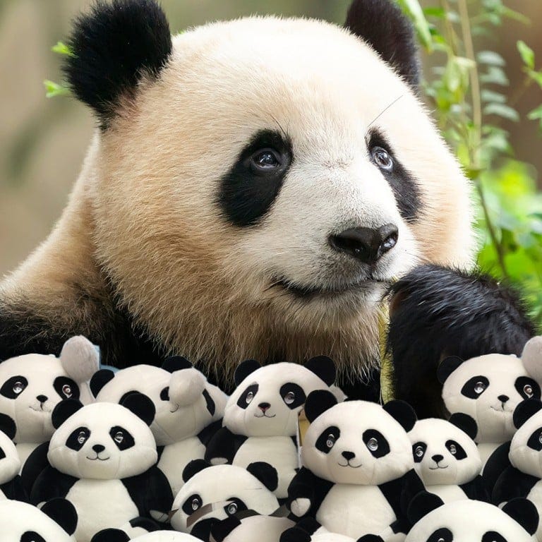 Pandas-1 : Pandas Made Easy — A Beginner’s Tour | by JM | Feb, 2024 ...