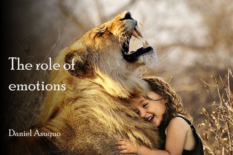 The role of emotions. Our emotions are more than just the way… | by ...