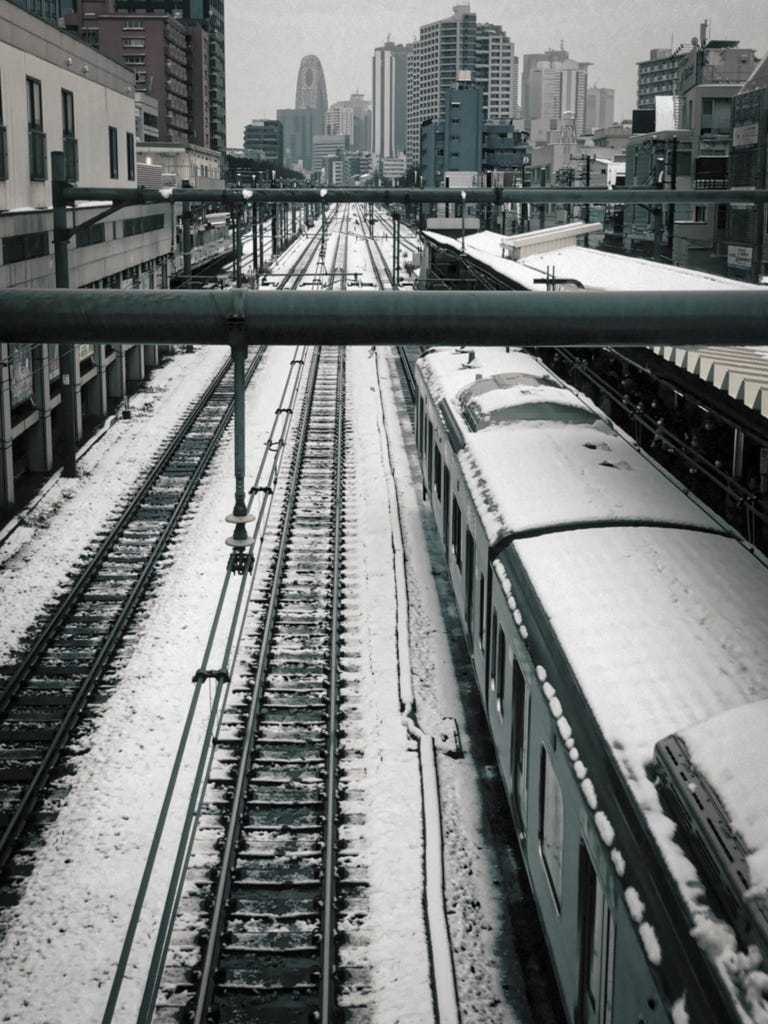 Tokyo Snow Days. Pictures From Tokyo’s First Snowfall of… | by Aaron ...