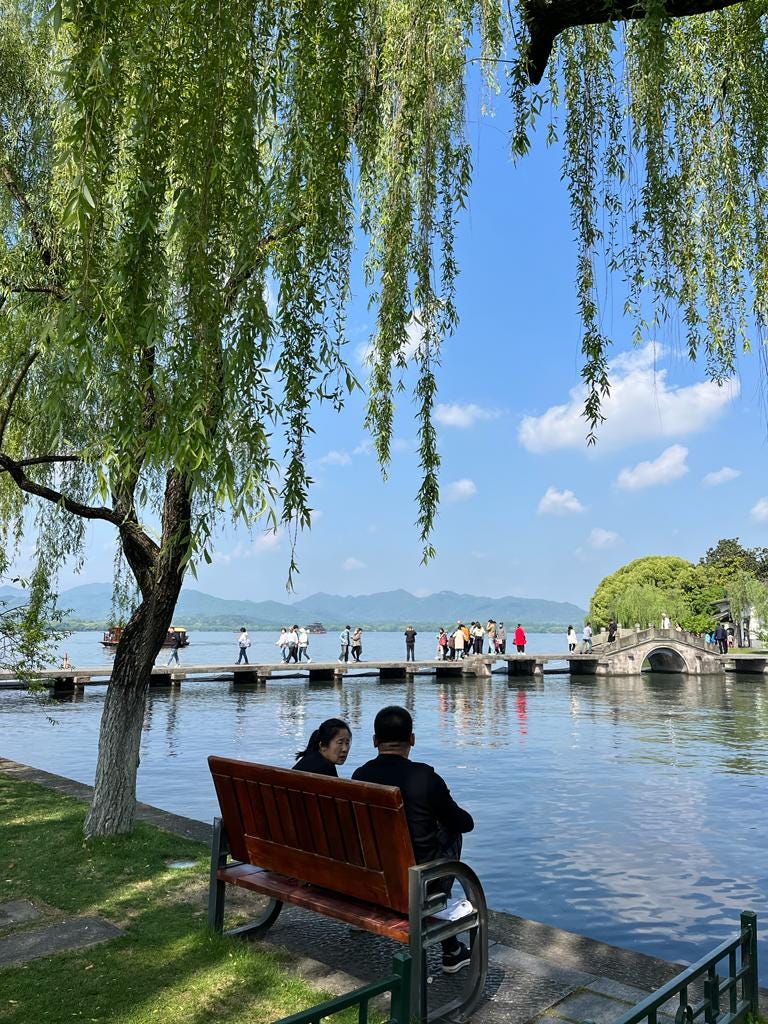 The Weeping Willow. If I become a tree, I’ll probably be… | by Zee Lee | Medium