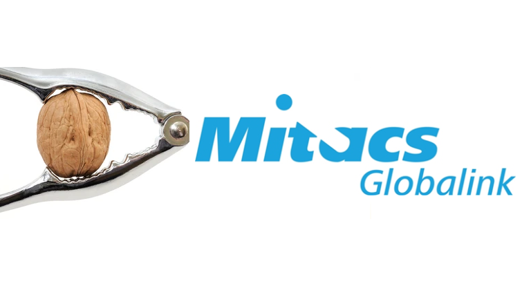Cracking the MITACS Globalink Research Internship (GRI) | by Praveen ...