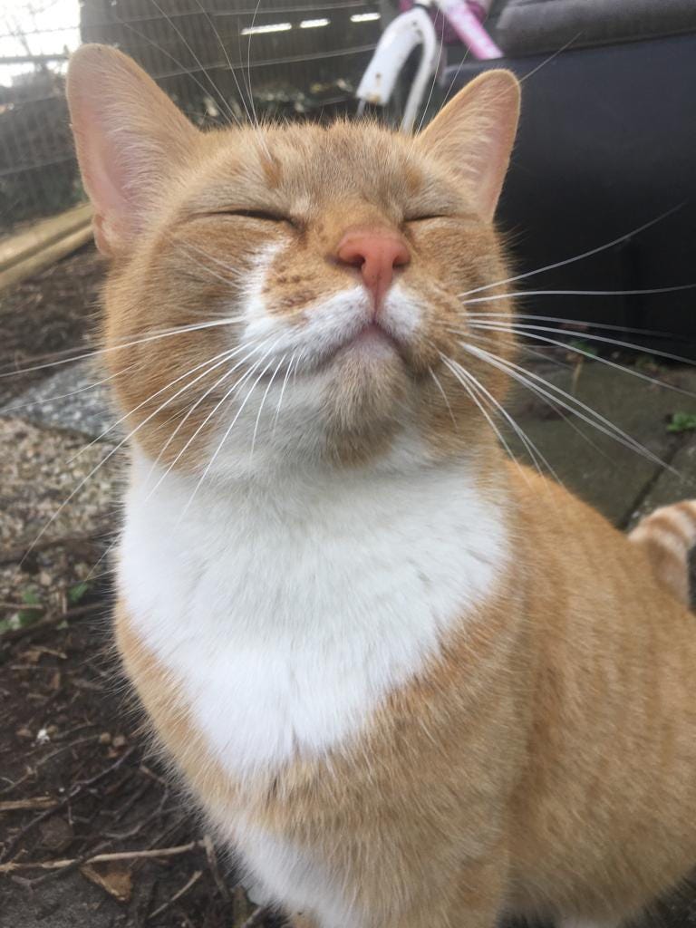 How to feel happy inside. It is an illusion to feel happy all the… | by ...