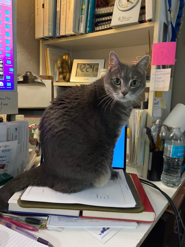 How You Can Create the Best Plan to THRIVE in Graduate School | Medium