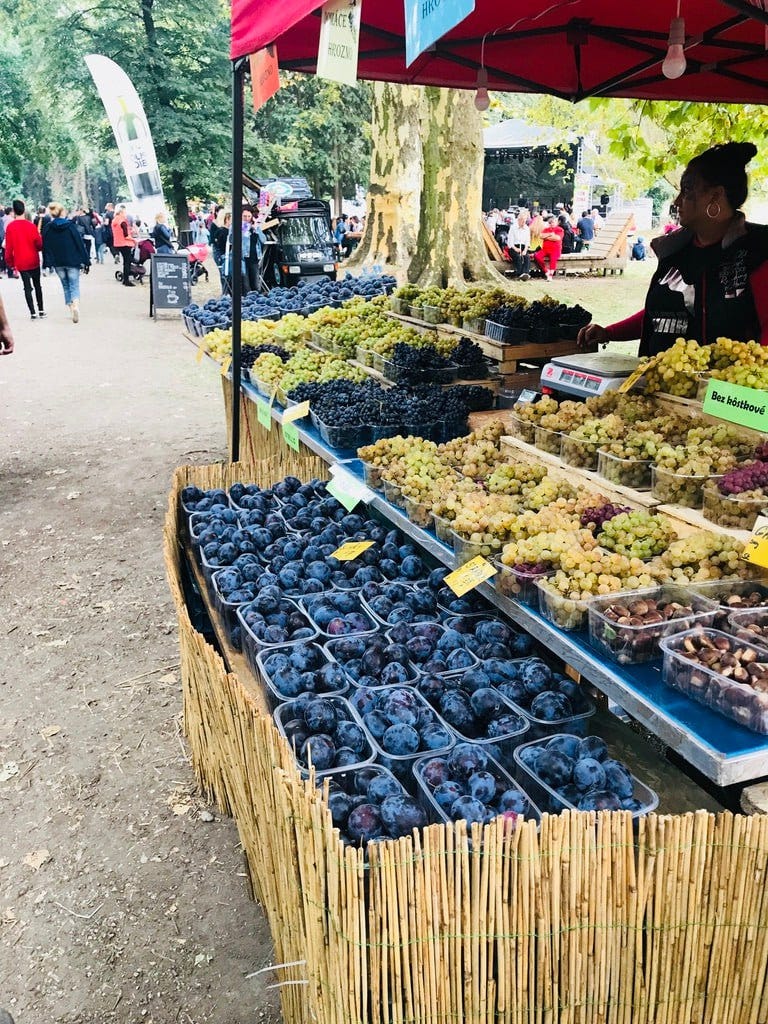 Unconventional Path: Growing Your Own Sustenance | by Freddie's Lost Treasures | Writers’ Blokke ...