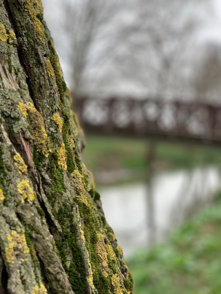 by Serenay Aras | Medium