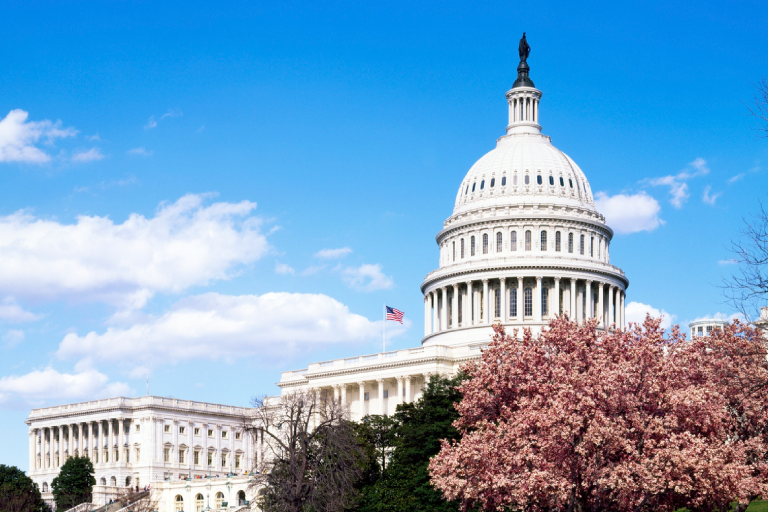 Springbok AI response to the US Blueprint for an AI Bill of Rights | by ...