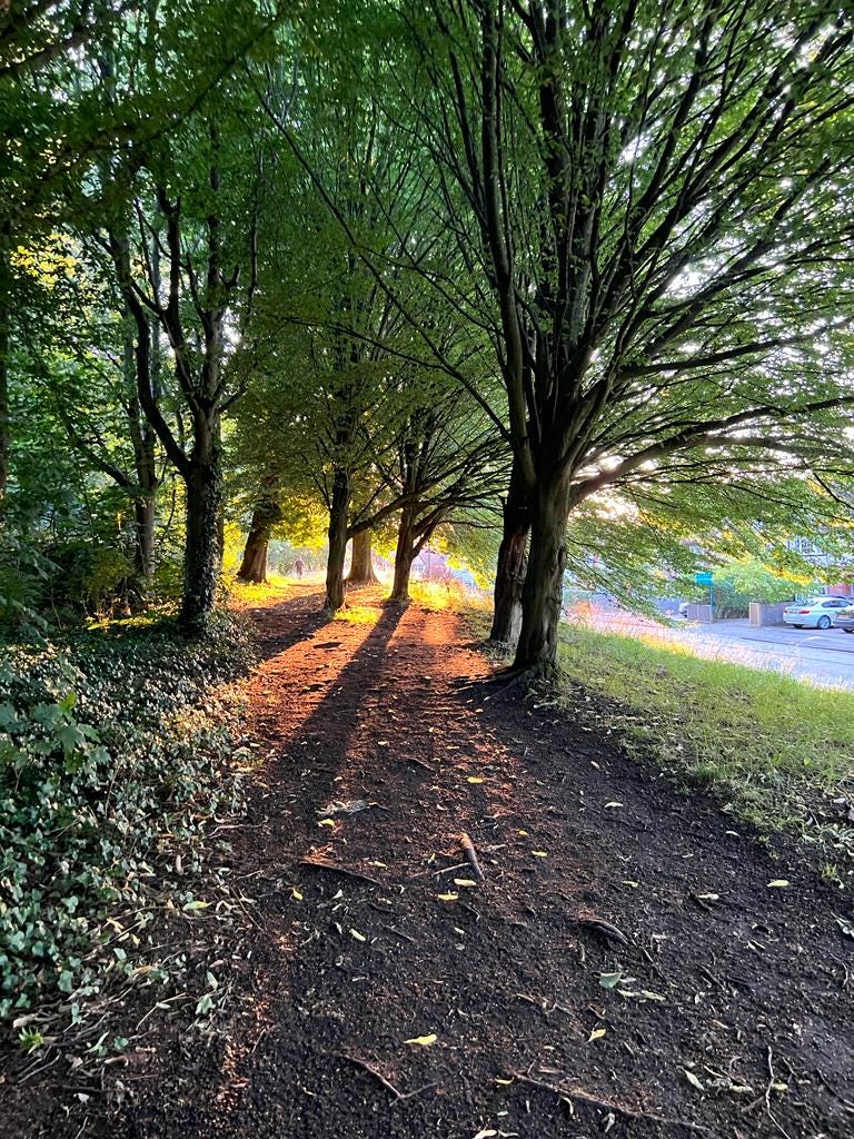 Finding a path through the jungle | by Bella Ganpatsingh | Jan, 2024 ...