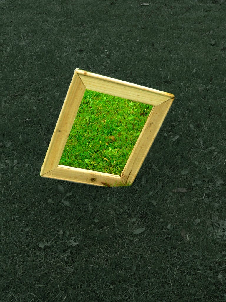 Stephanie Fielding — Week 03. “Framed Grass” by Leigh984 is licensed ...