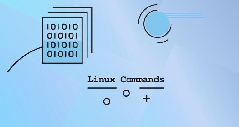 Basic Linux Commands as Beginner!! | by Rohit | Medium