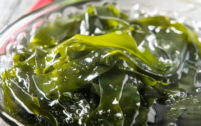 Kombu: The Edible Kelp with Extraordinary Health Benefits | by Health ...